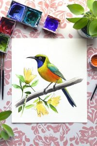 29 Watercolor Drawing Bird Ideas for Stunning Nature-Inspired Artwork