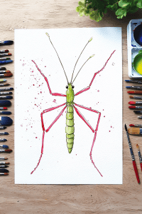 24 Watercolor Insects Drawing Ideas for Stunning and Creative Artwork