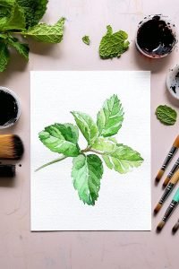 25 Watercolor Leaves Drawing Ideas for Stunning Botanical Artwork