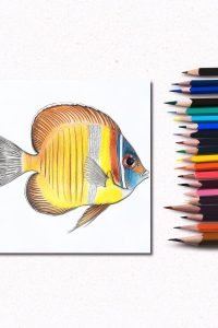 25 Colored Pencil Drawing Fish Ideas for Stunning Underwater Art