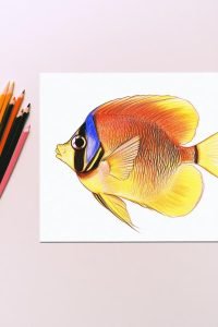 25 Colored Pencil Drawing Fish Ideas for Stunning Underwater Art