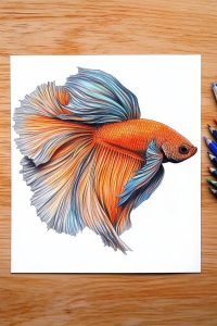 25 Colored Pencil Drawing Fish Ideas for Stunning Underwater Art
