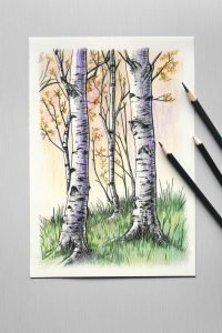 Beautiful 25 Colored Pencil Trees Painting Ideas for Every Skill Level