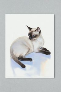 Adorable 28 Colored Pencil Cat Painting Ideas for Cat Lovers