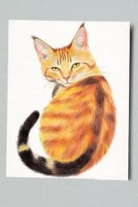 Adorable 28 Colored Pencil Cat Painting Ideas for Cat Lovers