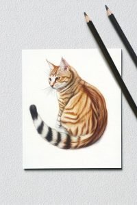 Adorable 28 Colored Pencil Cat Painting Ideas for Cat Lovers