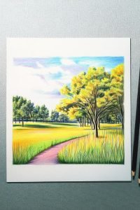 23 Colored Pencil Trees Drawing Ideas to Inspire Your Nature Art