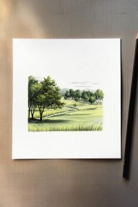 23 Colored Pencil Trees Drawing Ideas to Inspire Your Nature Art