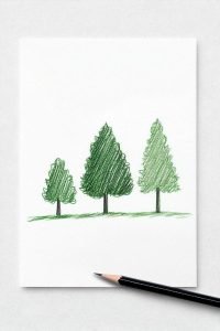 23 Colored Pencil Trees Drawing Ideas to Inspire Your Nature Art