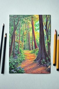 23 Colored Pencil Trees Drawing Ideas to Inspire Your Nature Art