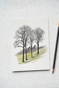 23 Colored Pencil Trees Drawing Ideas to Inspire Your Nature Art