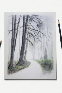 Beautiful 25 Colored Pencil Trees Painting Ideas for Every Skill Level