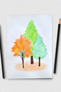 23 Colored Pencil Trees Drawing Ideas to Inspire Your Nature Art