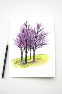 Beautiful 25 Colored Pencil Trees Painting Ideas for Every Skill Level