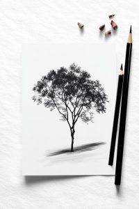 23 Colored Pencil Trees Drawing Ideas to Inspire Your Nature Art