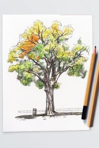23 Colored Pencil Trees Drawing Ideas to Inspire Your Nature Art