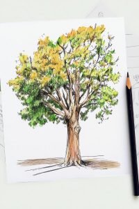 23 Colored Pencil Trees Drawing Ideas to Inspire Your Nature Art