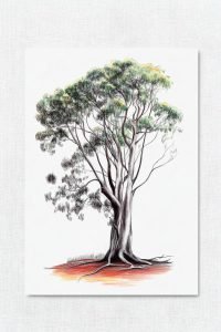 Beautiful 25 Colored Pencil Trees Painting Ideas for Every Skill Level