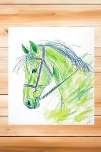 25 Colored Pencil Horse Drawing Ideas To Inspire Your Next Artwork