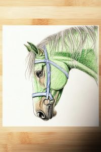 25 Colored Pencil Horse Drawing Ideas To Inspire Your Next Artwork
