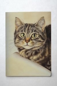 Adorable 28 Colored Pencil Cat Painting Ideas for Cat Lovers