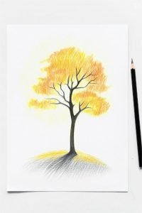23 Colored Pencil Trees Drawing Ideas to Inspire Your Nature Art