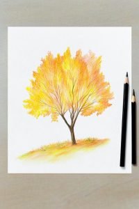 23 Colored Pencil Trees Drawing Ideas to Inspire Your Nature Art