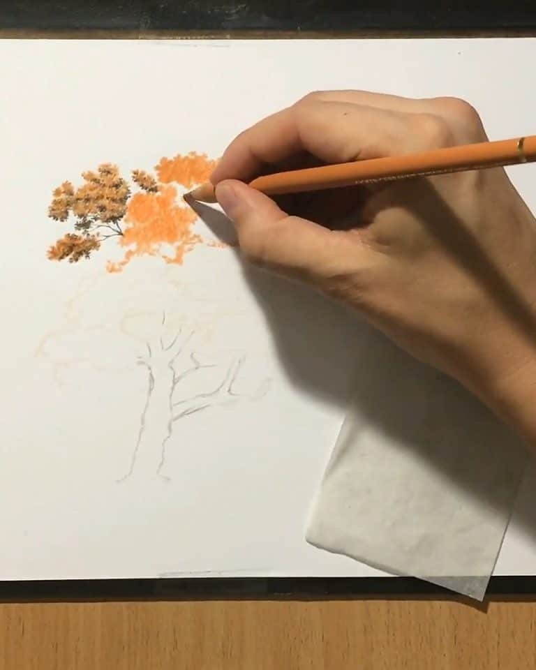 Autumn Tree Drawing with Colored Pencils: A Complete Step-by-Step
