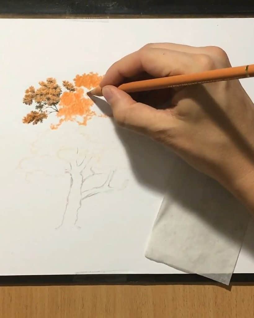 Autumn Tree Drawing with Colored Pencils: A Complete Step-by-Step