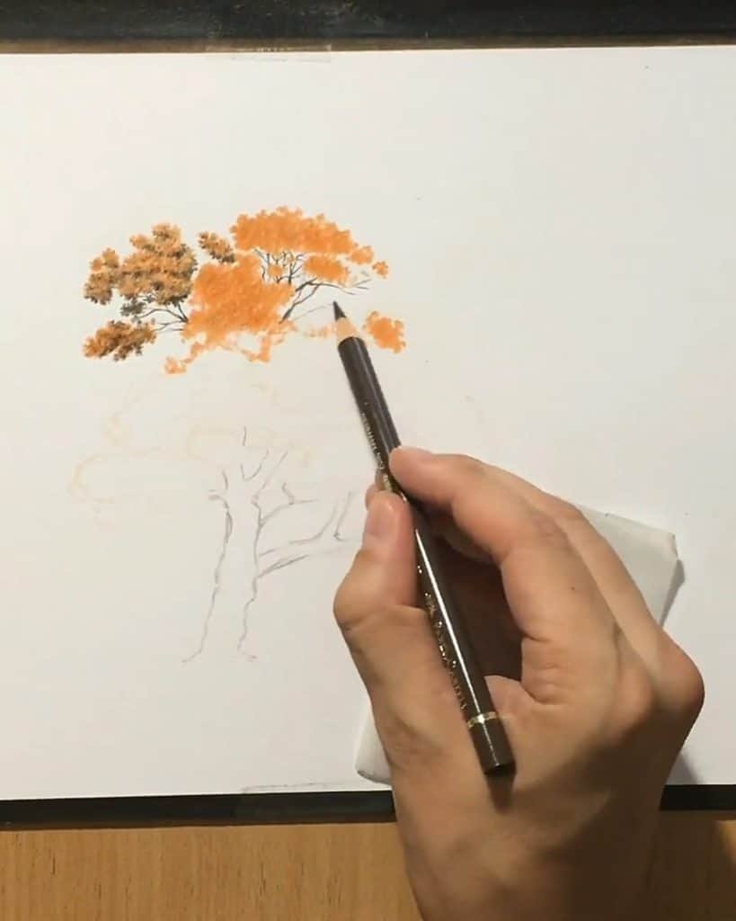 Autumn Tree Drawing with Colored Pencils: A Complete Step-by-Step