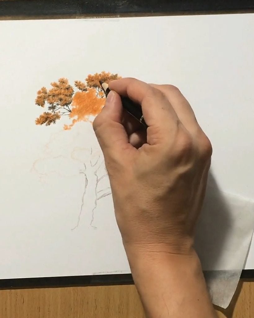 Autumn Tree Drawing with Colored Pencils: A Complete Step-by-Step