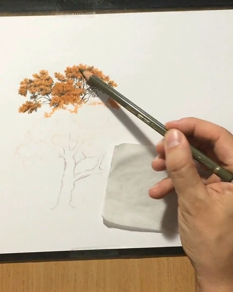 Autumn Tree Drawing with Colored Pencils: A Complete Step-by-Step
