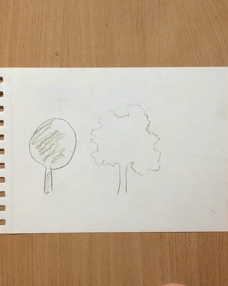 Autumn Tree Drawing with Colored Pencils: A Complete Step-by-Step