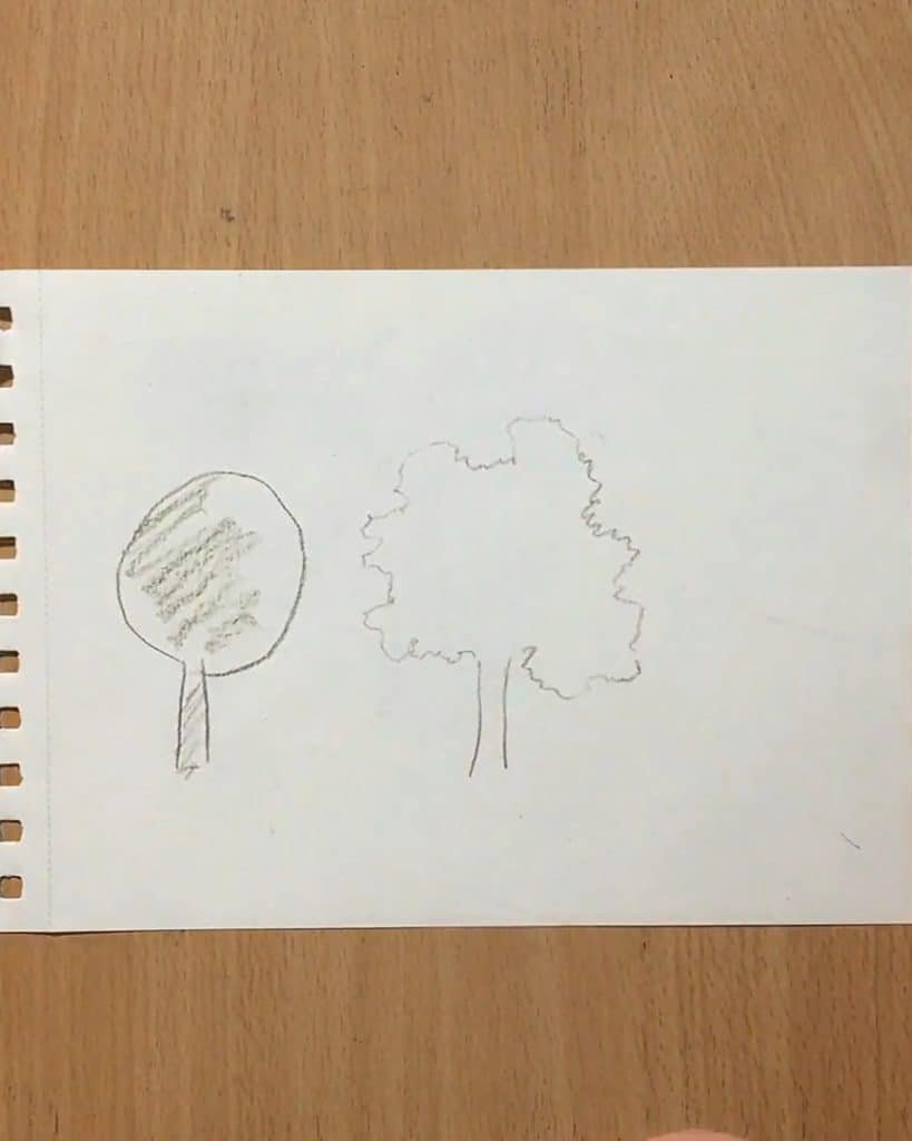 Autumn Tree Drawing with Colored Pencils: A Complete Step-by-Step