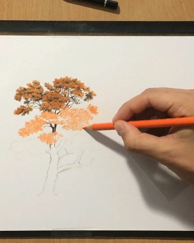 Autumn Tree Drawing with Colored Pencils: A Complete Step-by-Step