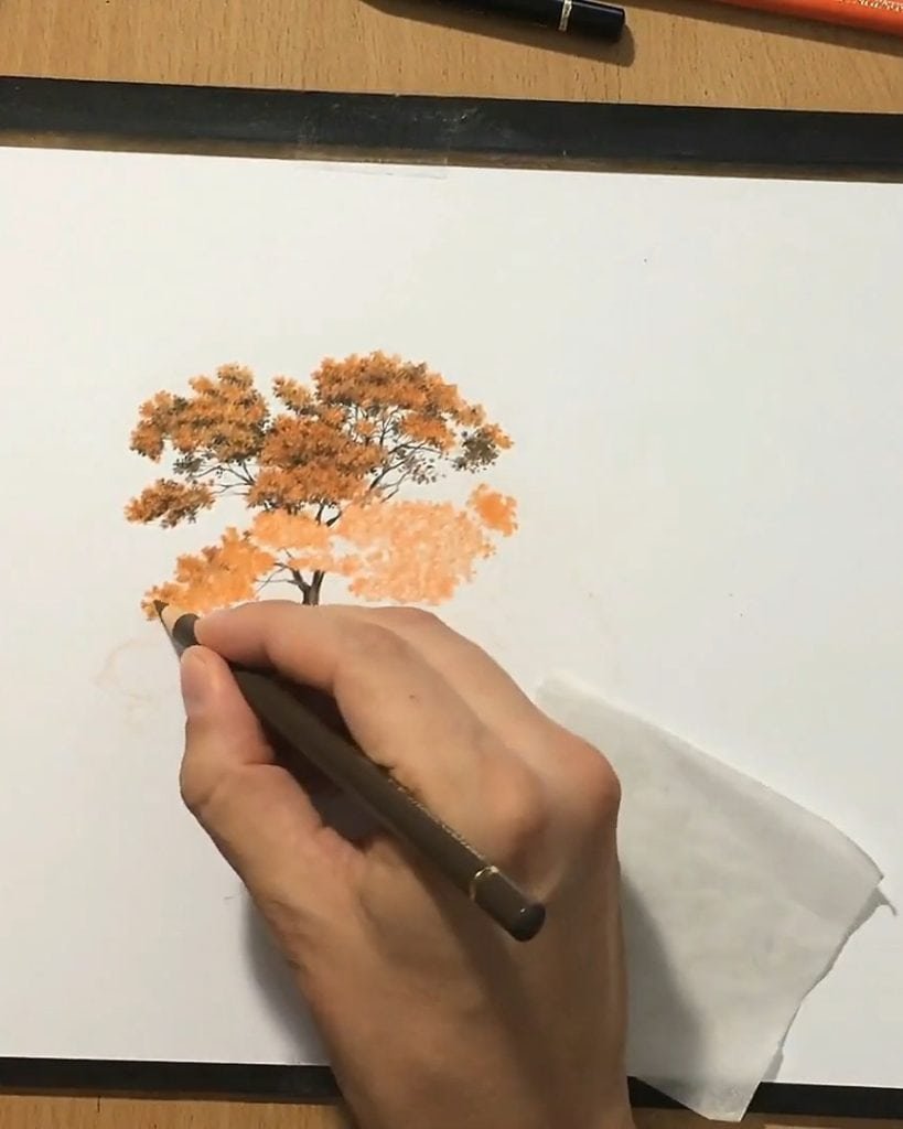 Autumn Tree Drawing with Colored Pencils: A Complete Step-by-Step