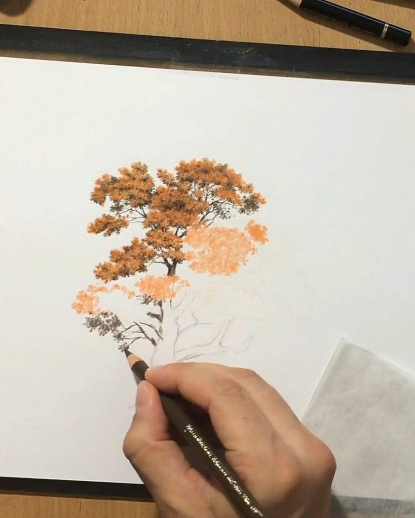Autumn Tree Drawing with Colored Pencils: A Complete Step-by-Step