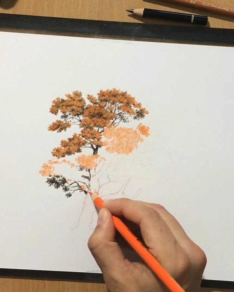 Autumn Tree Drawing with Colored Pencils: A Complete Step-by-Step