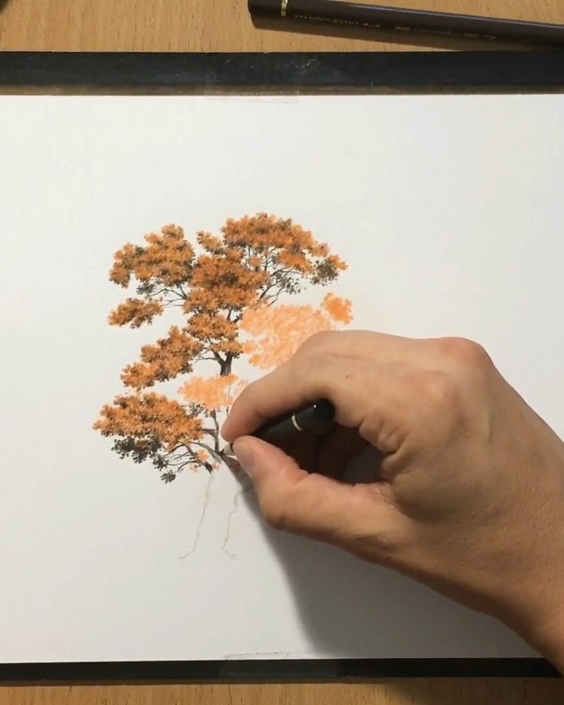 Autumn Tree Drawing with Colored Pencils: A Complete Step-by-Step