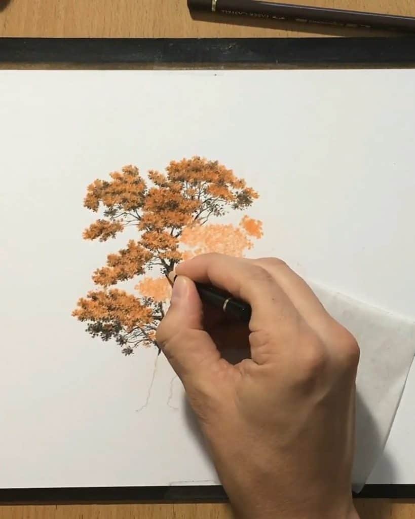 Autumn Tree Drawing with Colored Pencils: A Complete Step-by-Step