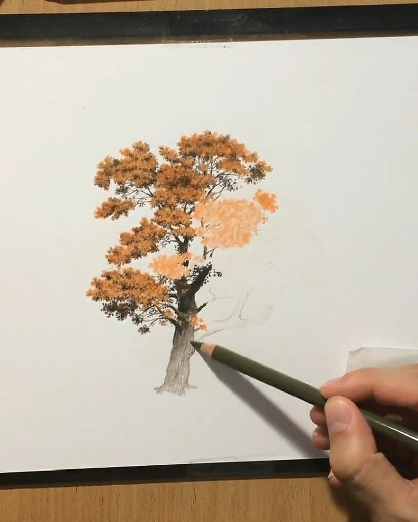 Autumn Tree Drawing with Colored Pencils: A Complete Step-by-Step