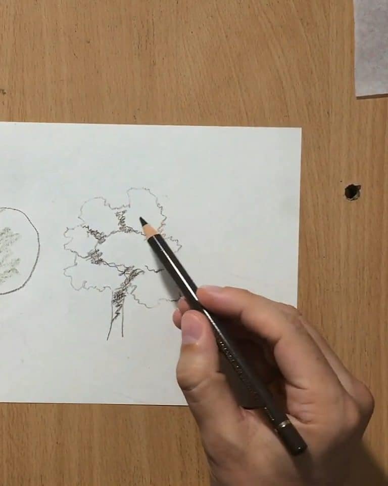 Autumn Tree Drawing with Colored Pencils: A Complete Step-by-Step
