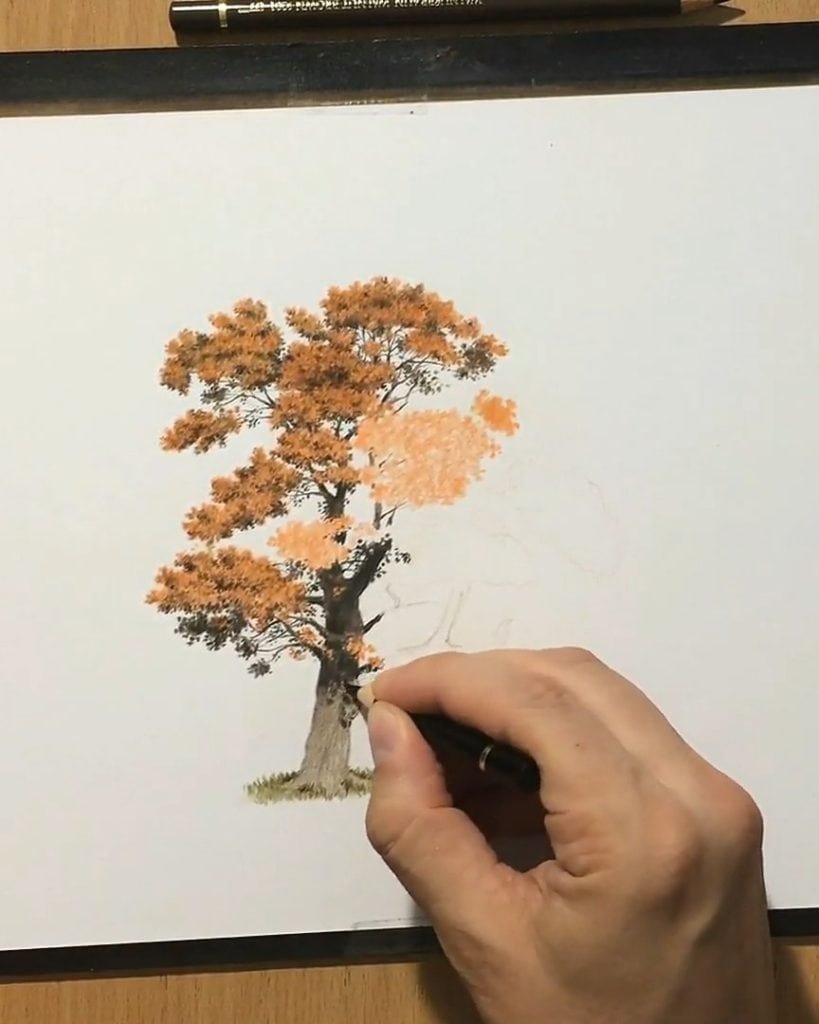Autumn Tree Drawing with Colored Pencils: A Complete Step-by-Step