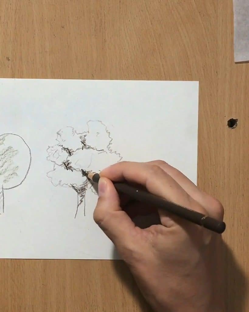 Autumn Tree Drawing with Colored Pencils: A Complete Step-by-Step