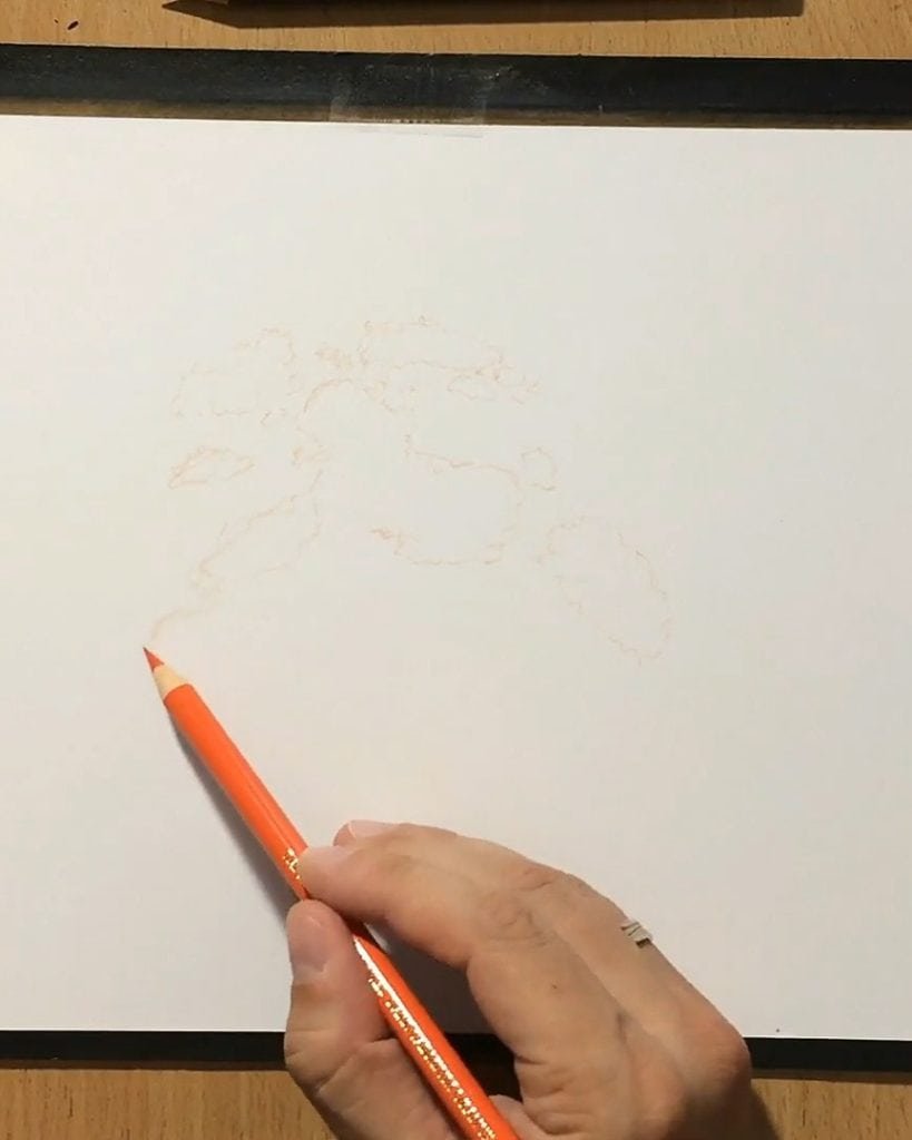 Autumn Tree Drawing with Colored Pencils: A Complete Step-by-Step