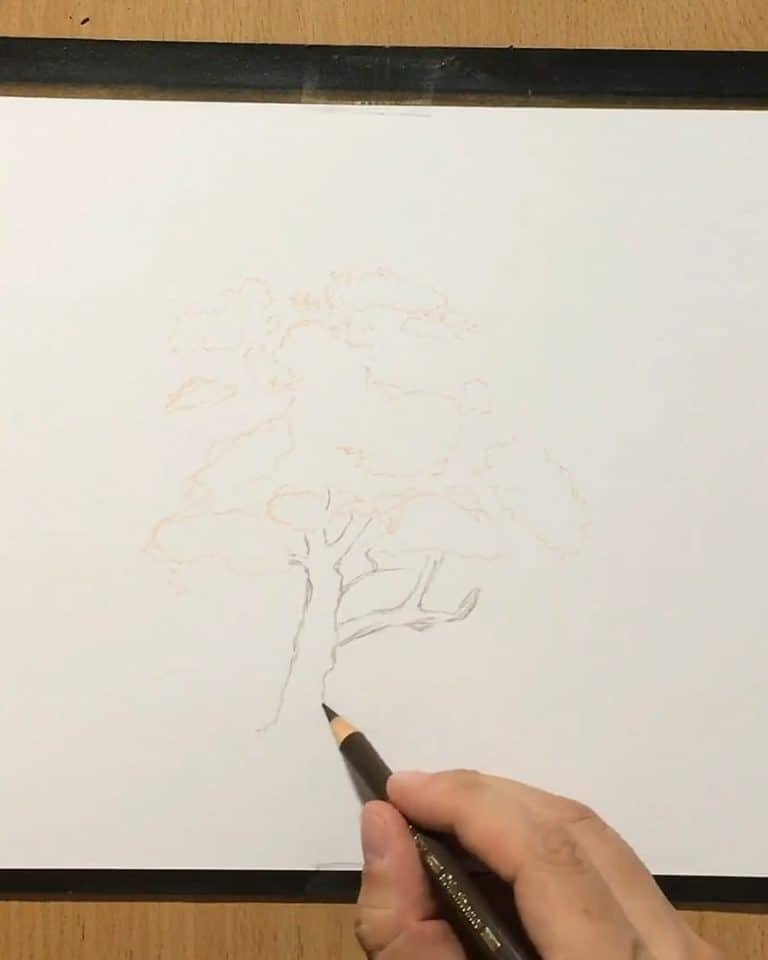 Autumn Tree Drawing with Colored Pencils: A Complete Step-by-Step