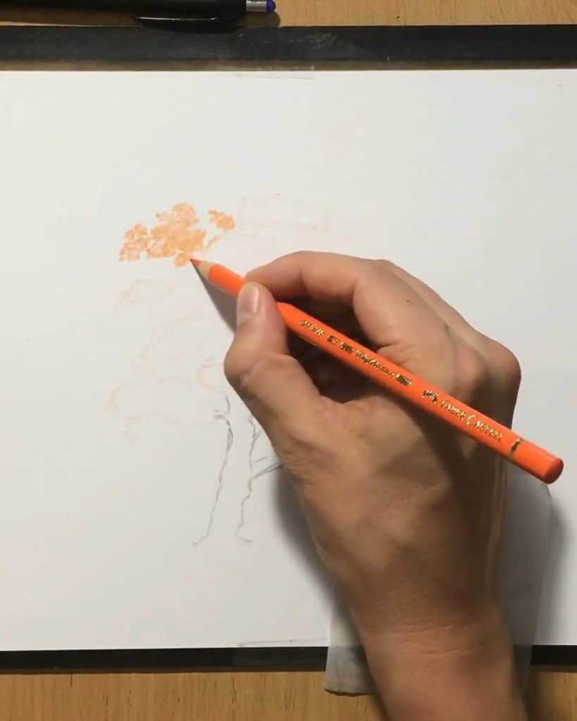 Autumn Tree Drawing with Colored Pencils: A Complete Step-by-Step