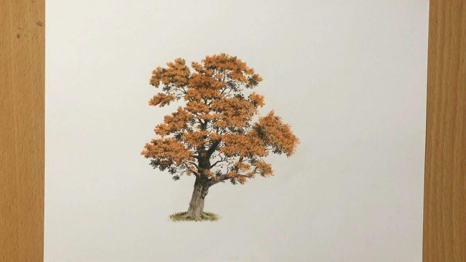 Autumn Tree Drawing with Colored Pencils: A Complete Step-by-Step