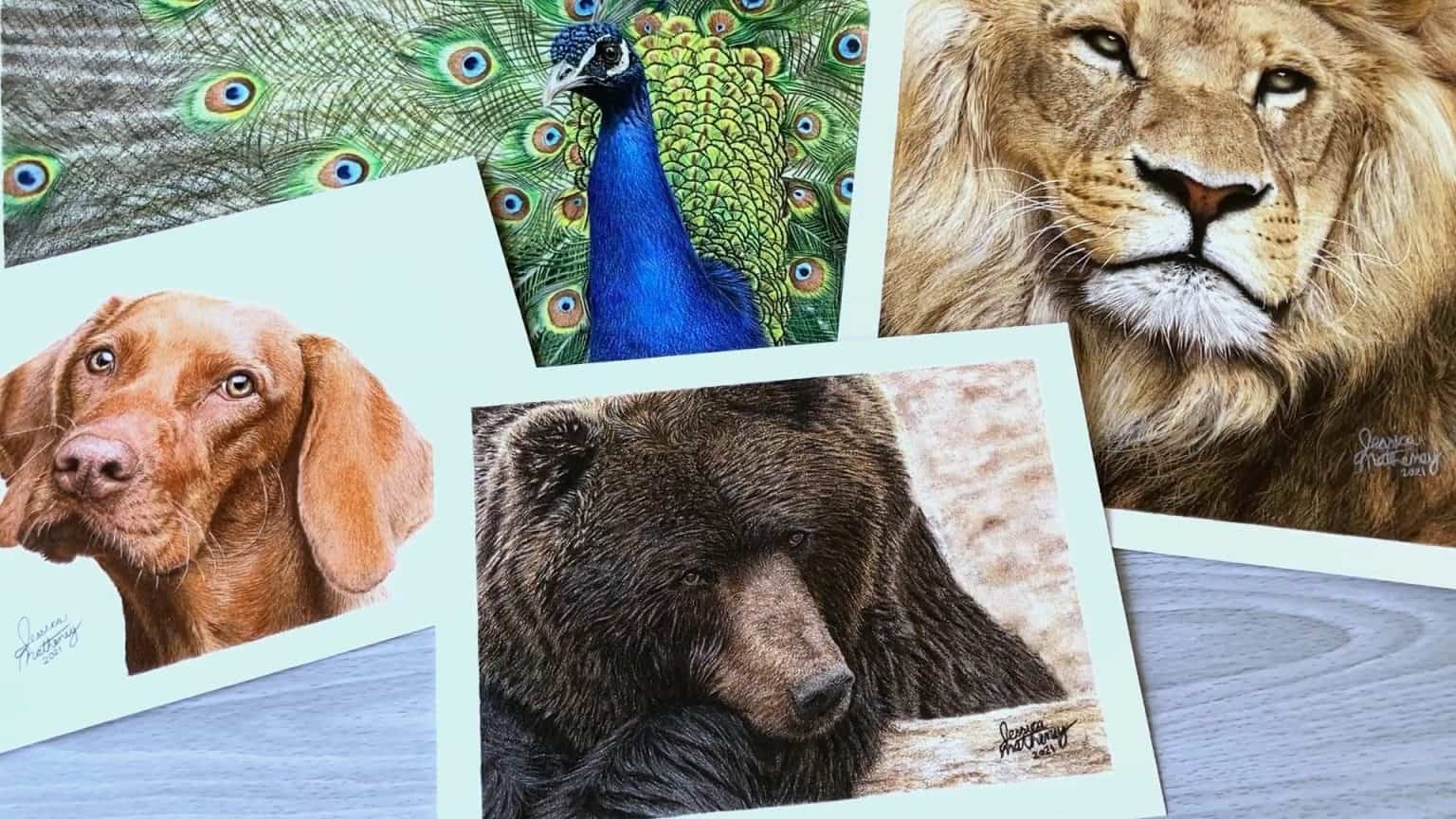 Drawing Paper Guide: Smooth, Medium, or Textured—What to Use?