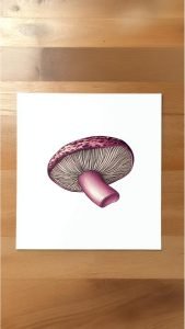 21 Colored Pencil Mushroom DIY Painting Ideas to Try Today